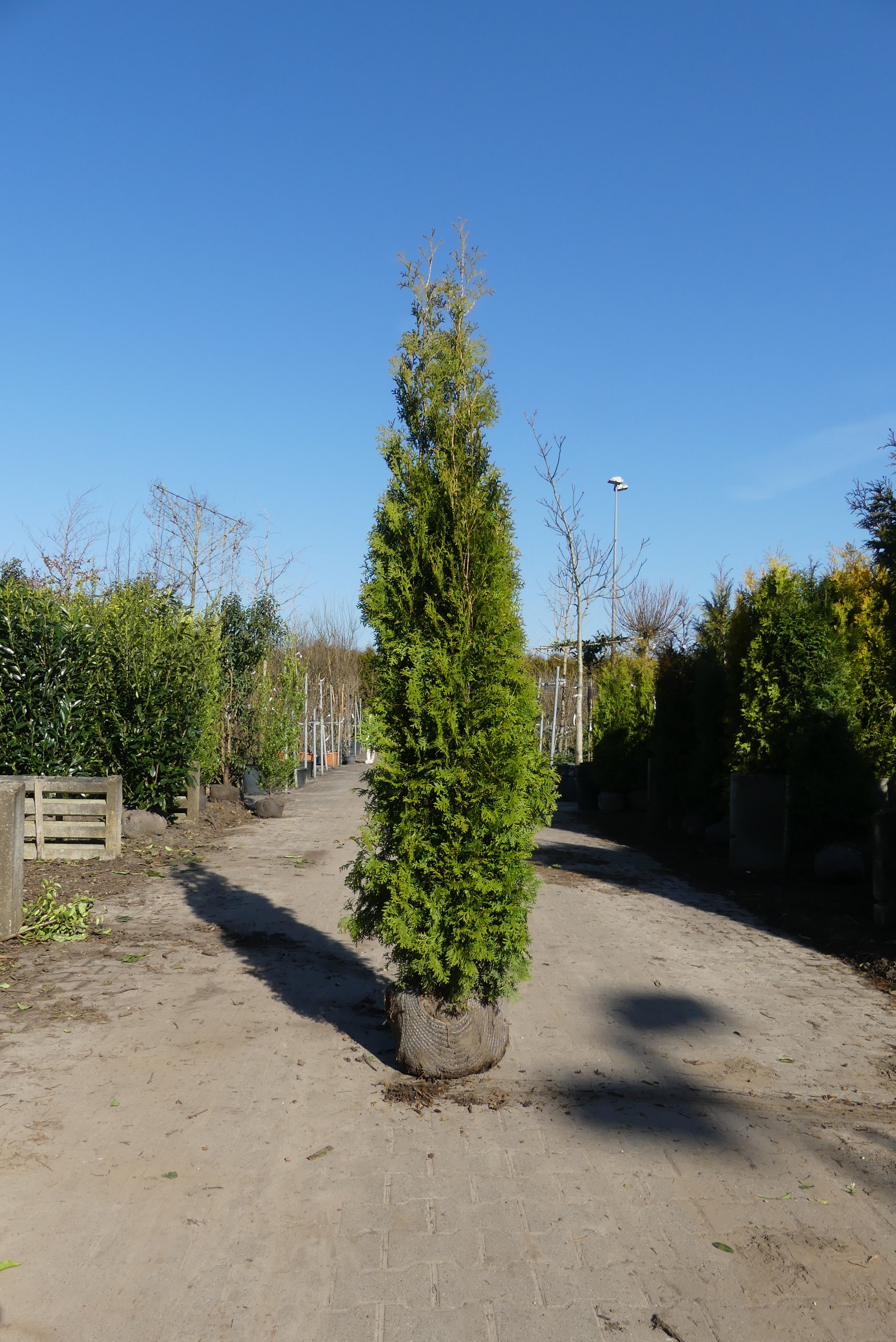 Hagen – Buitenflora